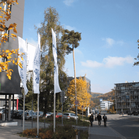 Studies - Saarland Informatics Campus