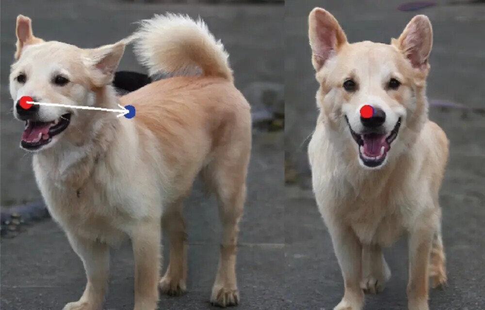 Visual Computing Example Images - Saarland Informatics Campus